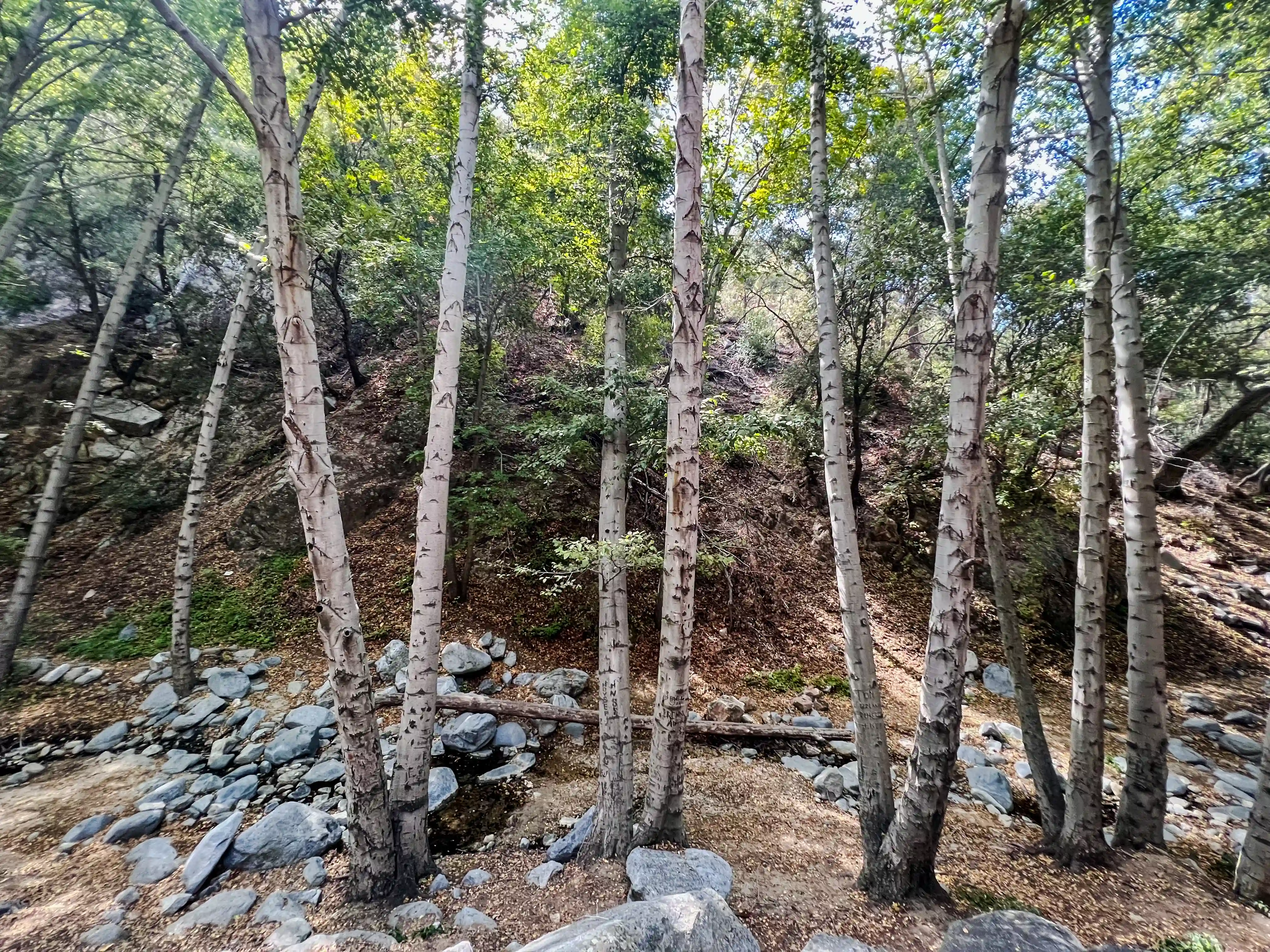IgorStar: Angeles Forest — part 1 (Switzer falls)